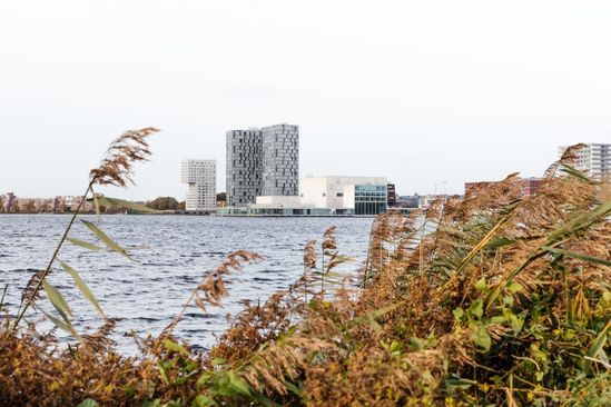 Lumièrepark in Almere | Visit Almere