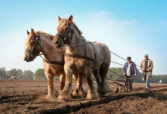 Monumentendorp Orvelte | Drenthe