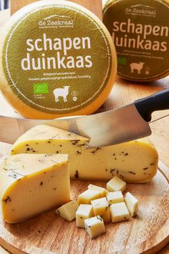 Kazen uit de vogelrijke Terschellinger polder | Visit Wadden