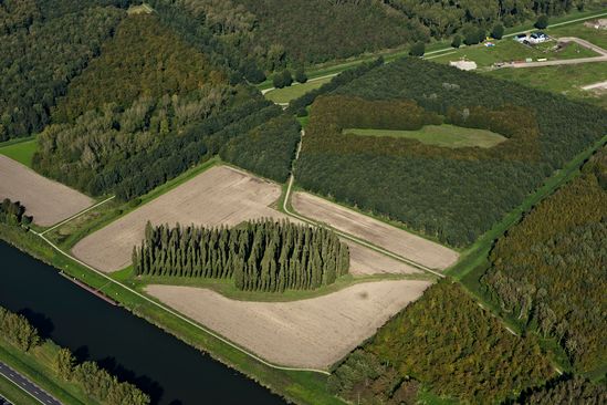Marinus Boezem: The Green Cathedral | Visit Flevoland
