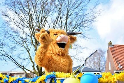 Carnaval in Oss: van Ossekoppenrijk tot Veldhazenrijk | Tref het in Oss