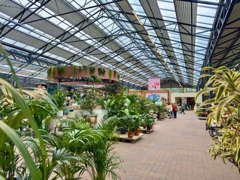 Intratuin Maastricht astricht | Maastricht