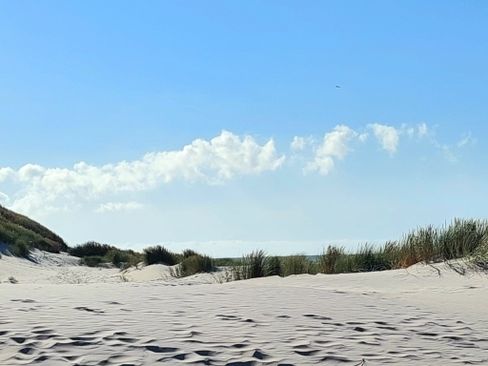 Ameland strand | Visit Wadden
