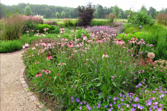 De Vlindertuin | Visit Flevoland