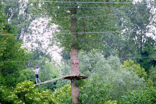 Klimpark Fun Forest - Klimmen in Almere | Visit Flevoland
