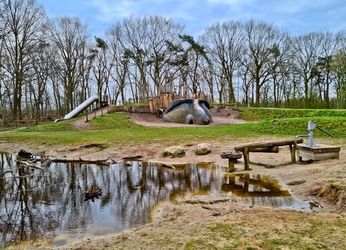 Maashorst Speelbos Uden | Explore Maashorst | VisitBrabant