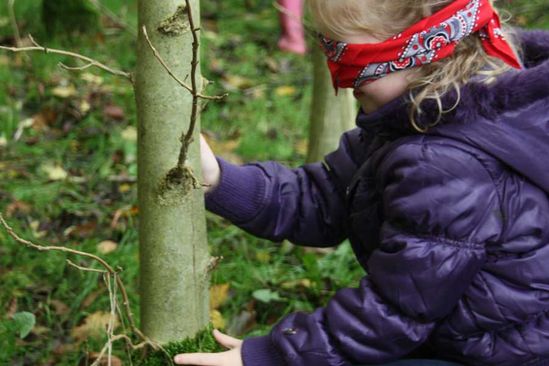 Natuurwijs: met je klas op pad in de Biesbosch | Bezoek Drimmelen