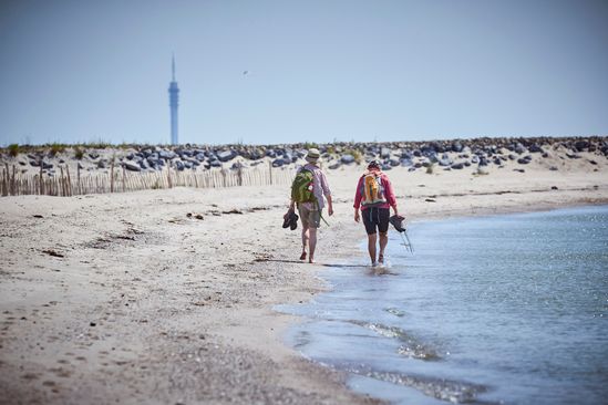 Vogelvluchtroute Marker Wadden | Nationaal Park Nieuw Land