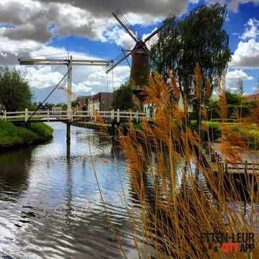 Molen De Lelie | Van Gogh Brabant