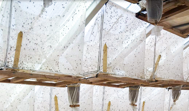 HLB Group | Goeree-Overflakkee Werken