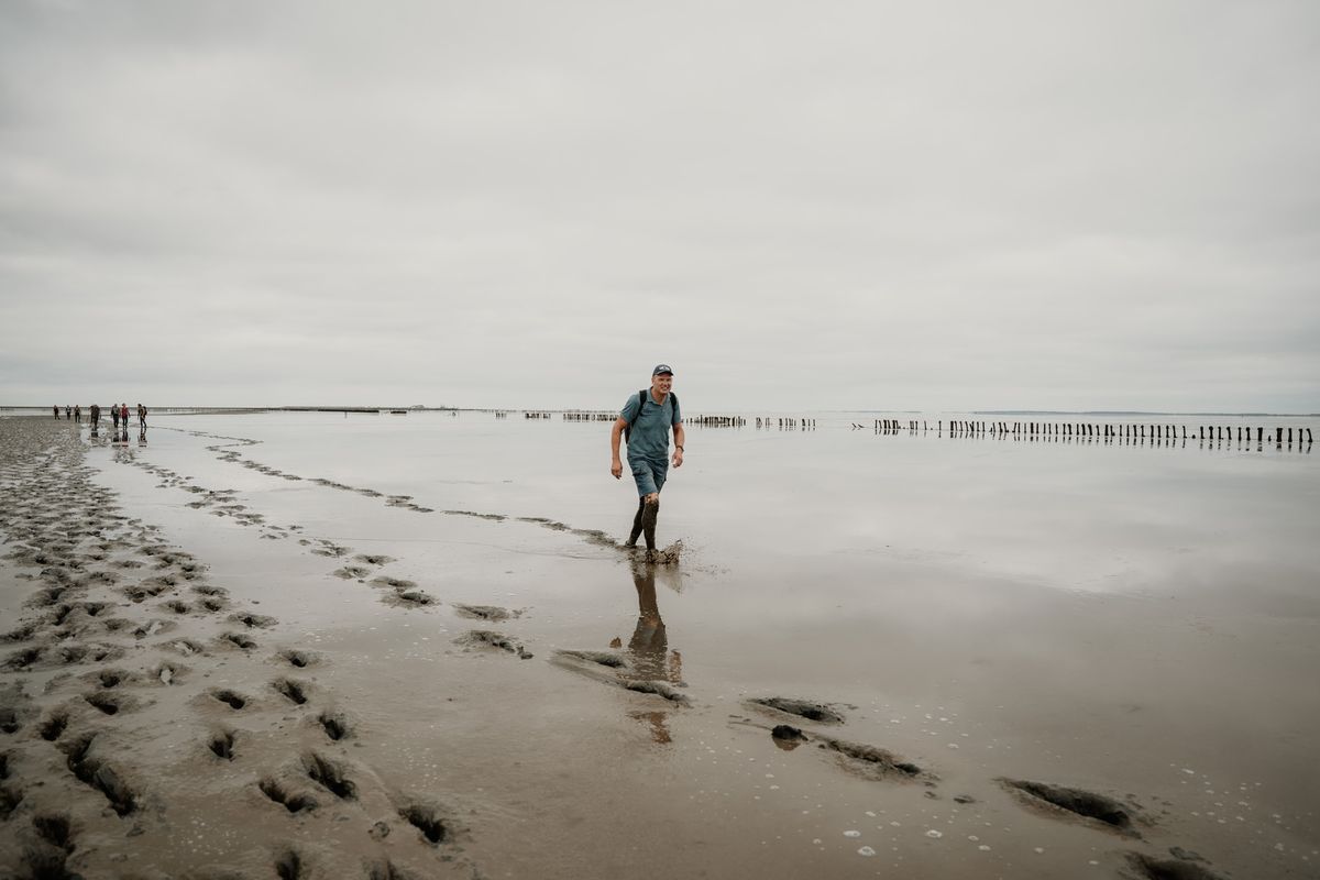 Wadlopen van Holwerd naar Ameland | Visit Wadden