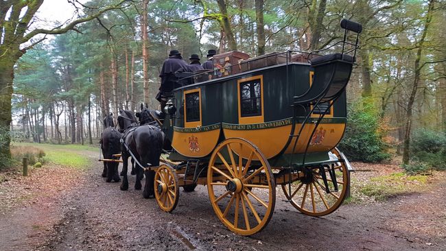 The Nature Game Drenthe | Koets van Kibbelhoekavontuur | Drenthe