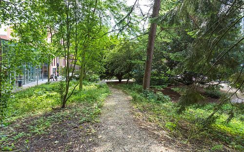 Prinsentuin | Visit Groningen