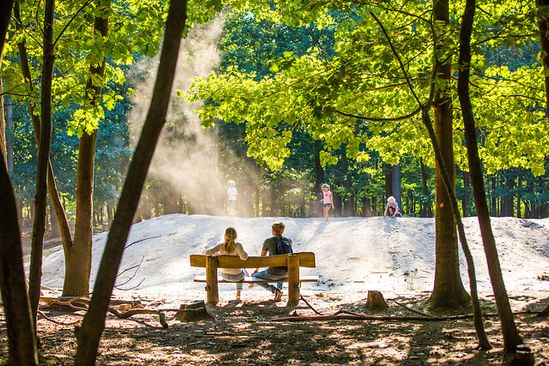 TOP Scenic route Walk Mastbos Breda | VisitBrabant