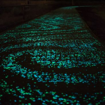 Van Gogh-Roosegaarde cycle path | VisitBrabant