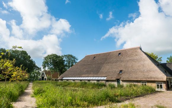 Martena Zathe | Friesland.nl