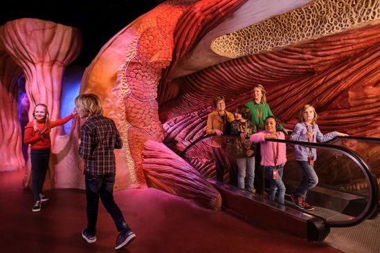 CORPUS 'journey through the human body' | Visit Leiden