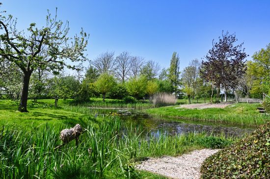 Peins | Friesland.nl