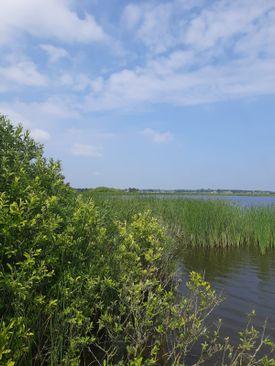 Prachtige fietstocht in Gaasterland | Friesland.nl