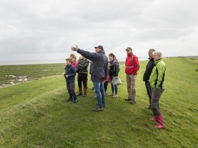 Bezoekerscentrum Dollard | Visit Wadden