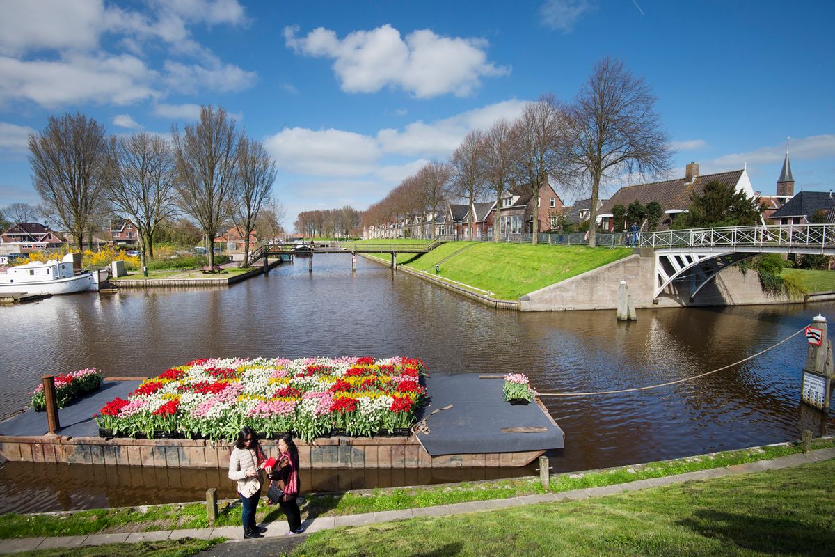 Koningsdag in Dokkum 2026 | Friesland.nl