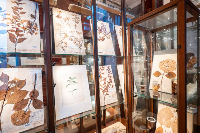 Japanmuseum Sieboldhuis | Visit Leiden