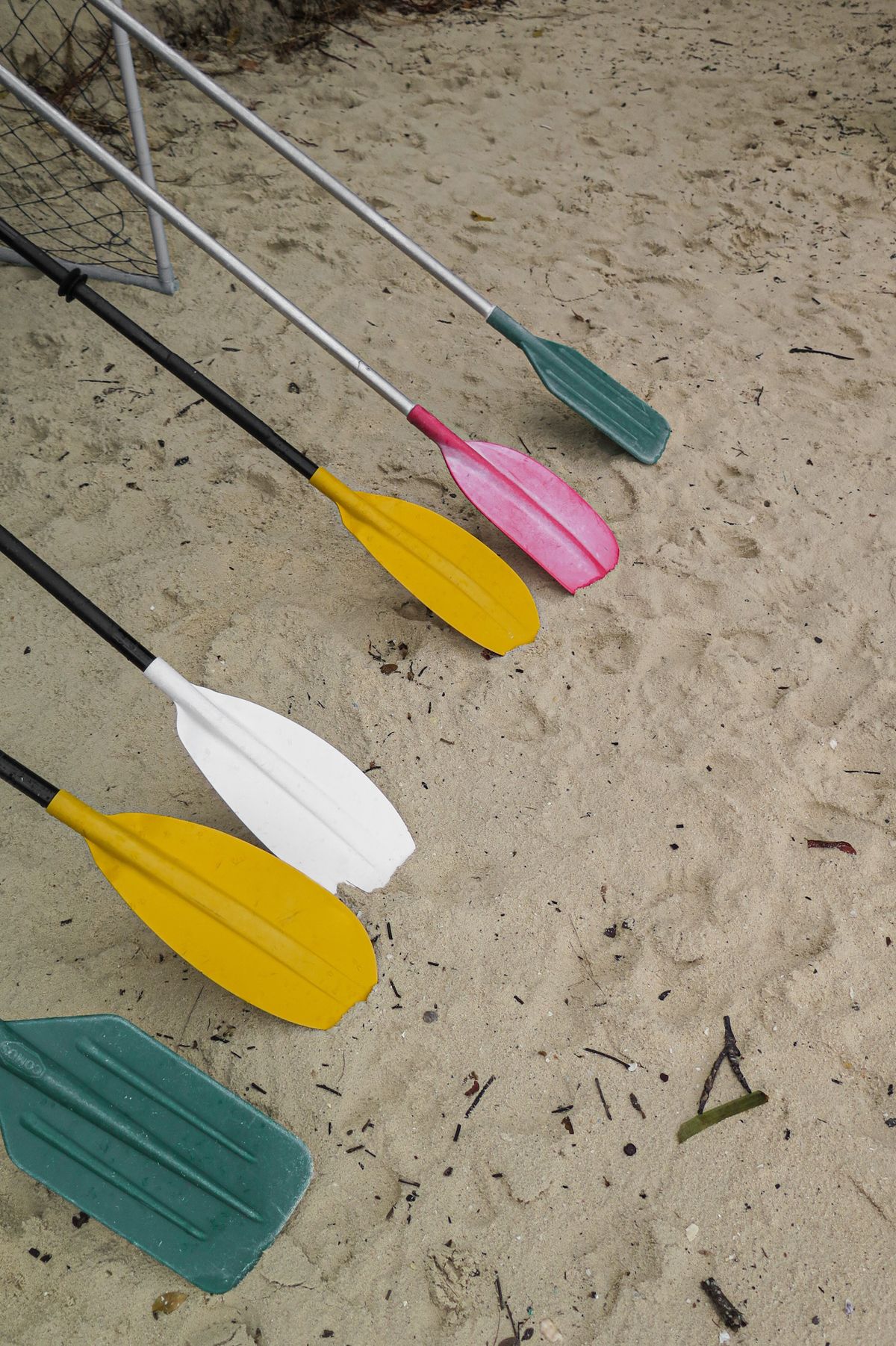 Water sports in Harlingen | Fun on the water by the sea | Harlingen ...