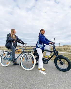 Gogo Rentals | Visit Duin- & Bollenstreek