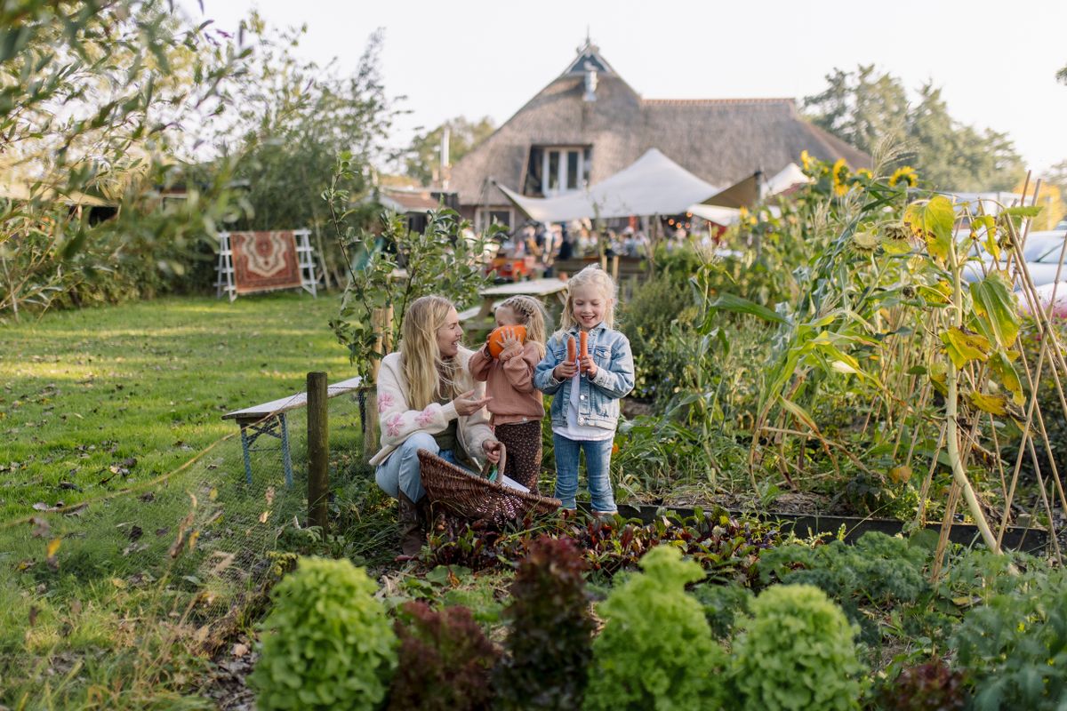 5x Opfriesen in de Friese natuur | Friesland.nl