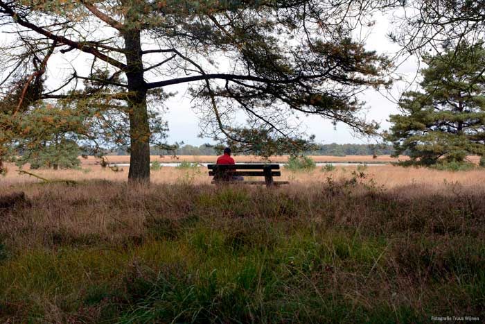 Wapse rond | Drenthe