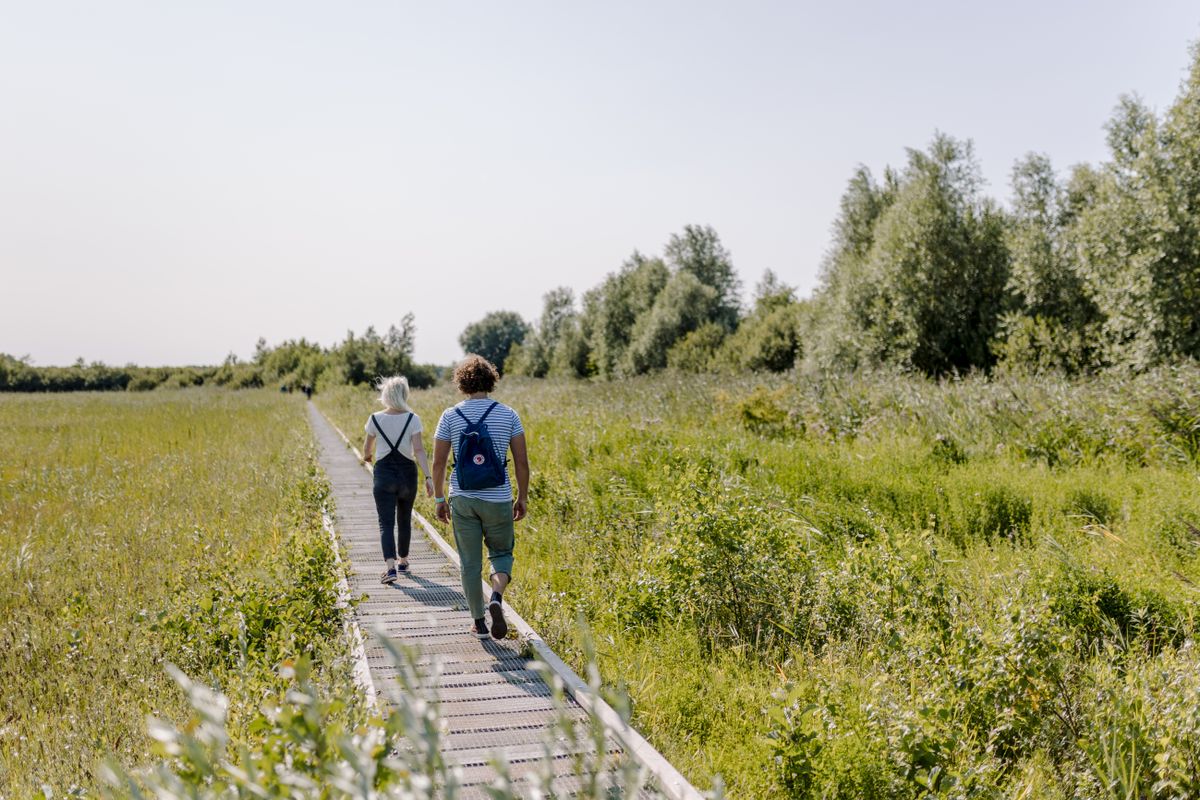 Leuke wandelingen in de zomer | Visit Wadden