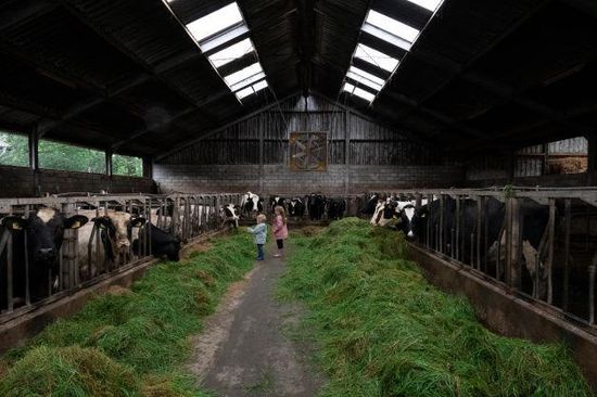 Martina Hoeve - Cheese and dairy farm